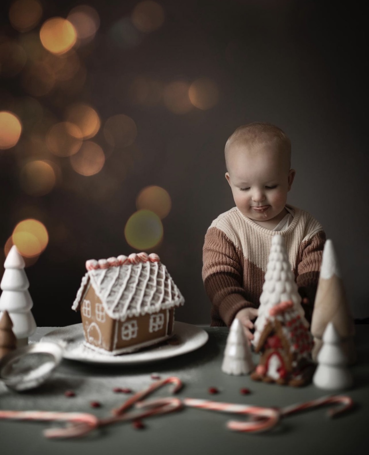 Holiday Photography – Take Your Best Photos this Holiday Season - Ruth ...