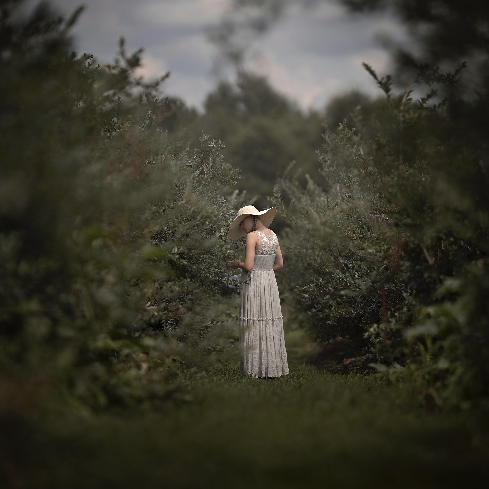 Berry Picking Photoshoot - Ruth Young Photography